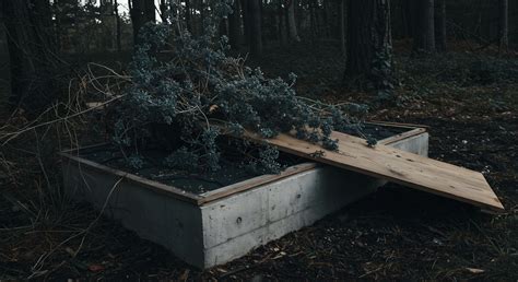 Habitat Fragmentation → Term