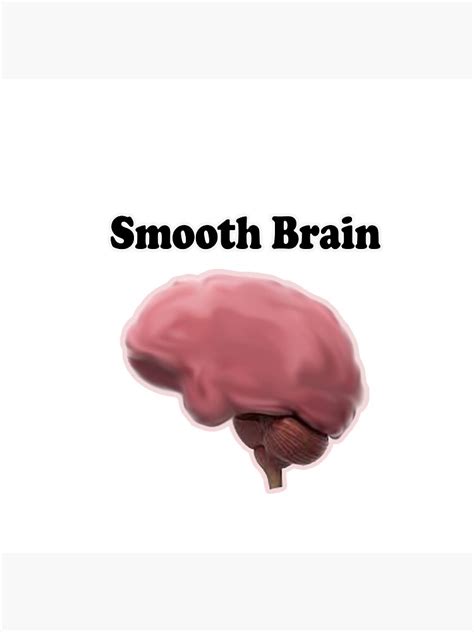 Smooth Brain Poster For Sale By Smoothartnelly Redbubble