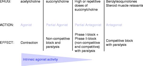 Succinylcholine Phase 1 And 2 Block