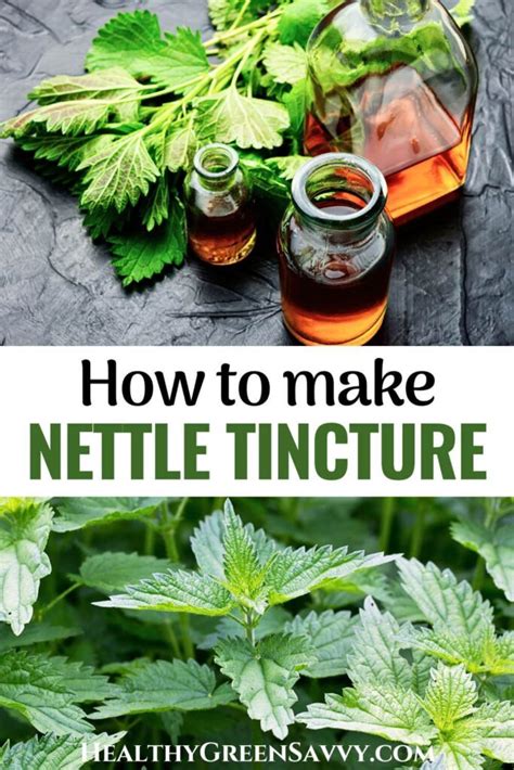 Stinging Nettle Tincture Recipe Using Fresh Or Dry Nettles