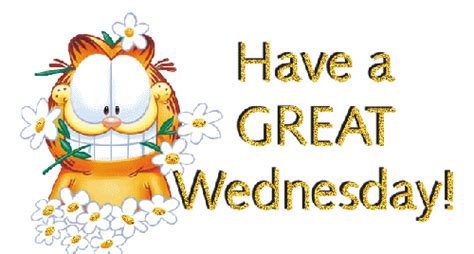 Cute Happy Wednesday Quotes