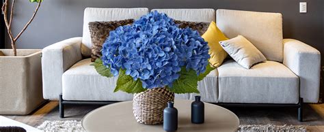 Zytuyo 4 Pcs Royal Blue 20 Inches Real Touch Hydrangea