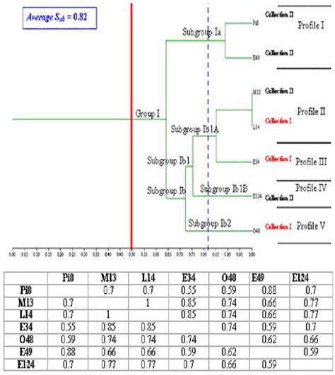Dendrogram Based On The S Ab Coefficients Showing The Genetic Similarity Download Scientific