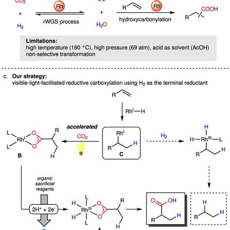 Carboxylation Of Olefinic Compounds Using Co2 And H2 A Target