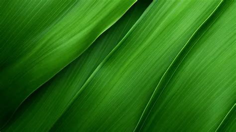 Grass Prairie Nature Leaves Background Leaf Green Grass Background Image And Wallpaper For