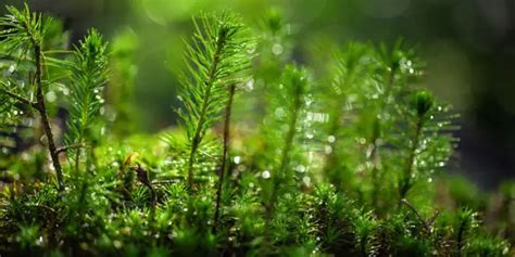 beyond circularity