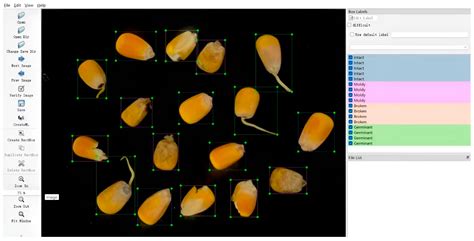 maize kernel quality detection based on improved lightweight yolov7