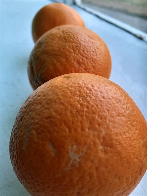 Assignment 3 Part 1all Danielle Deshazo Flickr