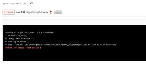 How To Fix No Such File Or Directory During Gitlab Ci Run Stack Overflow