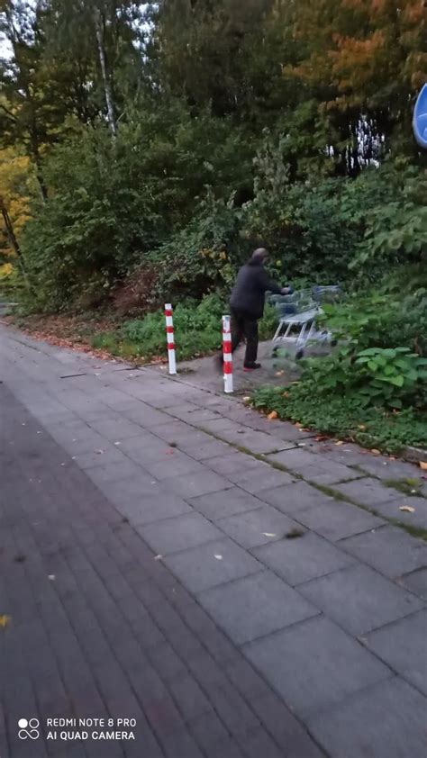 Outdoor Sex Im Segeroth Park Essen Diskrete Treffen Im Grünen