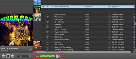 Nyan Progress Bar In Spotify R Pics