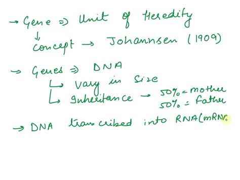 Solved Explain Your Understanding Of The Gene Concept How Is The