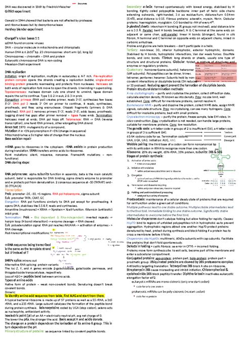 Bio Cheat Sheet Dna Was Discovered In 1869 By Friedrick Meischer