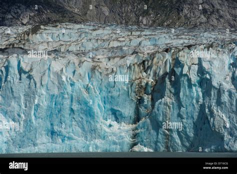 View Of The Glacier Face Of The Dawes Glacier A Tidal Glacier