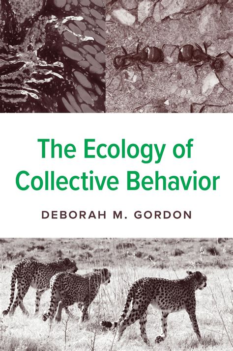 The Ecology Of Collective Behavior Veldshop