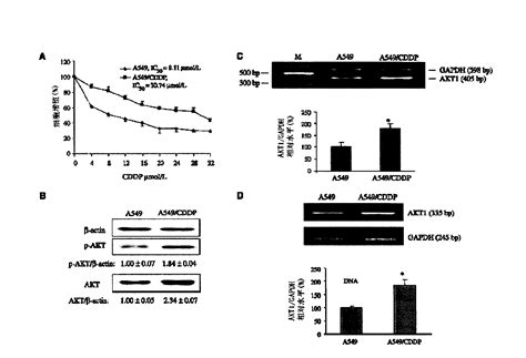 Antineoplastic Composition And Use Thereof Eureka Patsnap