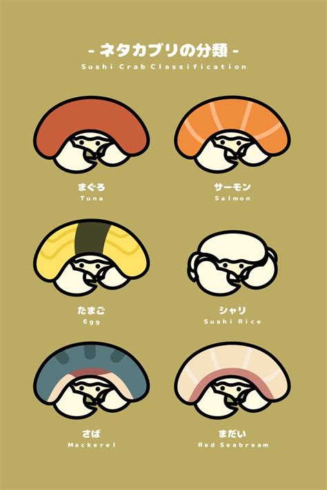 ネタカブリの分類 Sushi Crab Classification 分類 像 クール