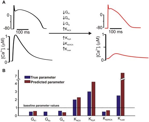 Application Of Reverse Regression To Constrain Model Parameters In