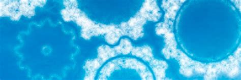 Multipath Data The Future Implications Of Vmware Facebook