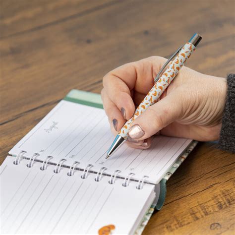T Pen Set Foxy Tales Wholesale Stationery