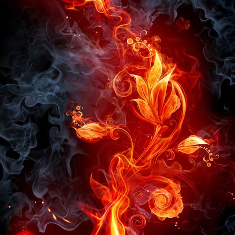🔥 [70 ] Fire Flower Wallpapers Wallpapersafari