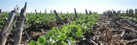 As Usda Sees Record Interest In Conservation And Clean Energy Programs As Usda Sees Record Interest In Conservation And Clean Energy Programs