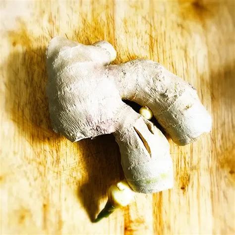 Chinese Ginger Milk Pudding 薑汁撞奶布丁 Chinese Recipes At