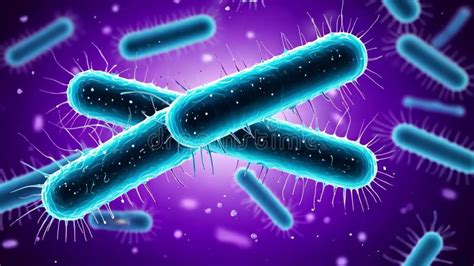 Glowing Bacteria Microorganism Under Microscope View Stock Footage