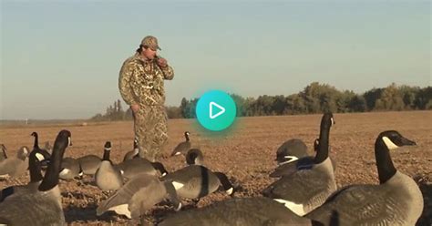 Primitive Hunting  On Imgur