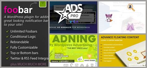 top 5 best wordpress advertising plugins of july 2020 ampallo