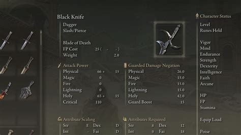 The Best Black Knife Build In Elden Ring