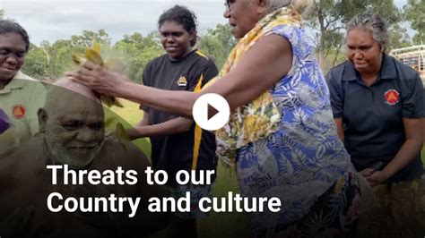 Deep Dive Framework Yolngu Knowledge Framework