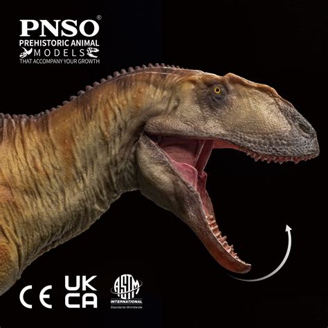 New Release Dayong The Yangchuanosaurus Shangyouensis Scientific Art Model From Pnso
