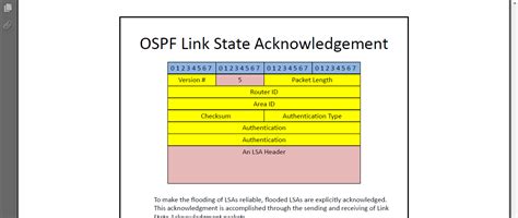 Python Networking Security Virtualization Fundamentals OSPF Packet Details