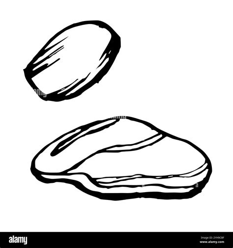 Stones Sketch Vector Monochrome Illustrations Of Natural Stone In