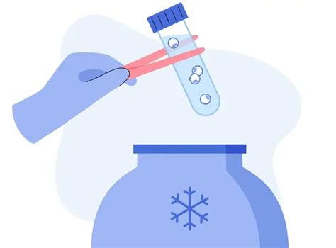 Frozen Embryo Ivf Treatment