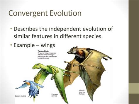 Ppt Ek 1b2 Powerpoint Presentation Free Download Id 3157951