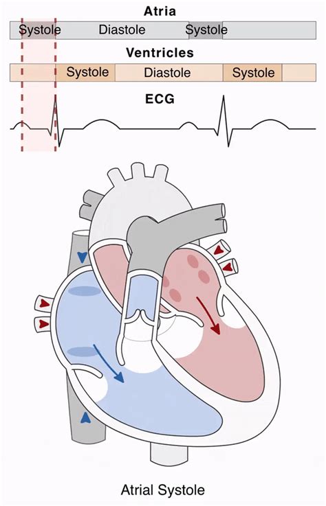 Adham Sahawneh Posted On Linkedin