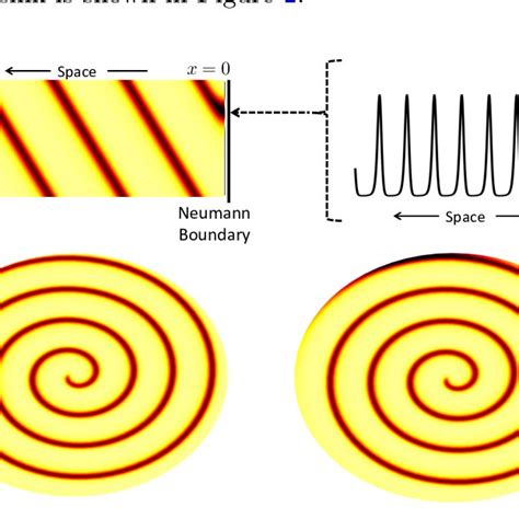 Rössler Model A Image Of Boundary Sink Neumann Boundary Conditions Download Scientific