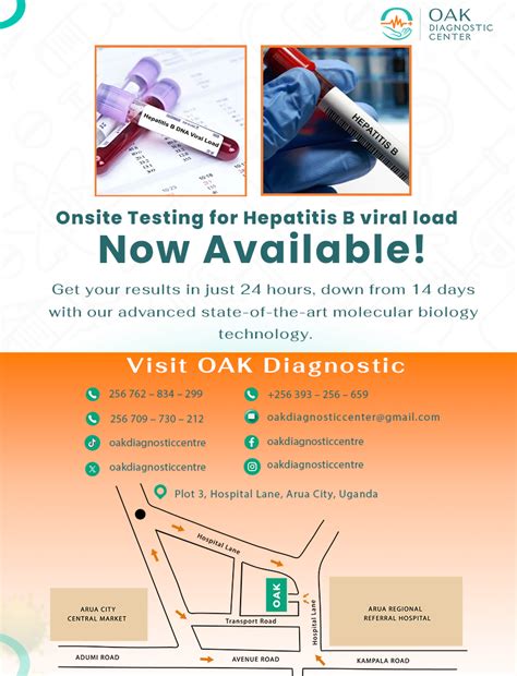 Onsite Hepatitis B Viral Load With 24 Hour Tat Oak Diagnostic Center