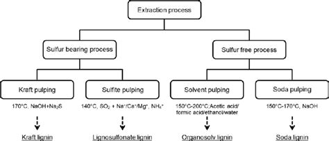 Different Extraction Processes To Separate Lignin From Lignocellulosic Download Scientific