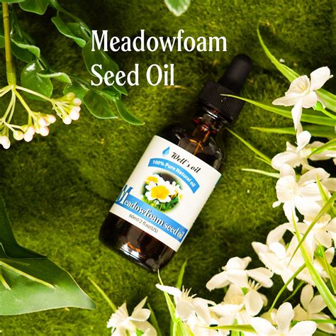 100 Pure Natural Carrier Oil Meadowfoam Seed 2 Fl Oz Iwell Us