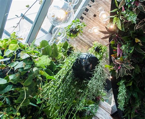 悬挂植物的天花板悬停在楼梯上，高大的登山者在 Sushisamba Heron Tower 的柱子上训练，营造出异国森林的感觉。 花瓣网