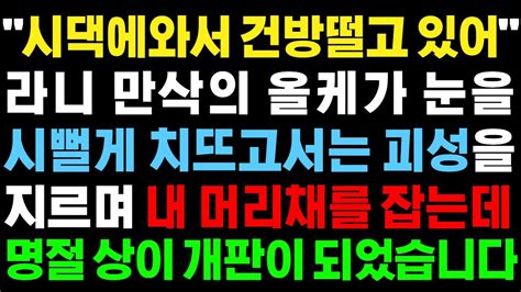 실화사연 내 머리채를 잡은 만삭의 올케와 한판 떴습니다 라디오드라마 사이다사연 Youtube