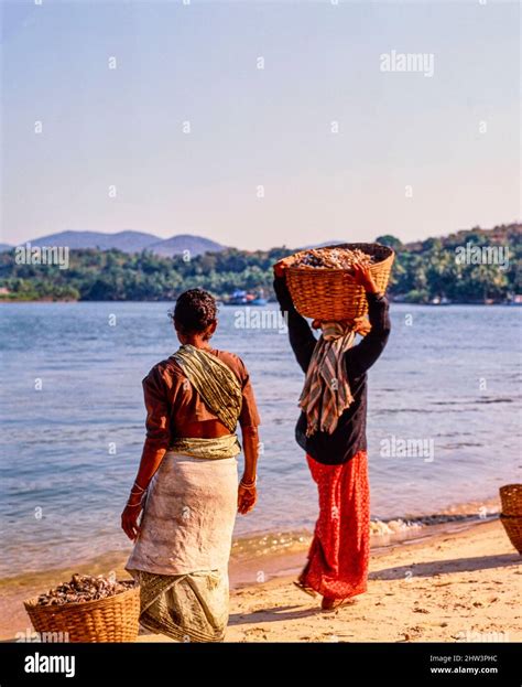 The Catch Sustainable Commercial Fishing In Goa India Beachside