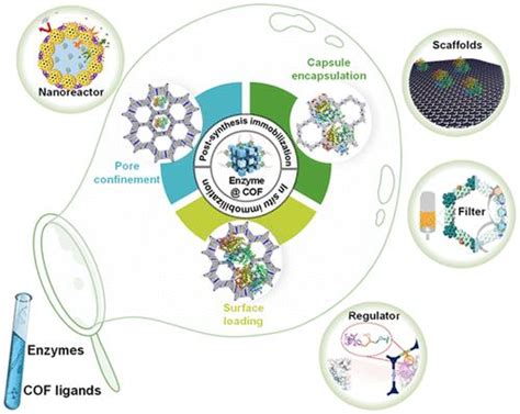 Enzyme Immobilization Using Covalent Organic Frameworks From Synthetic Strategy To Cofs