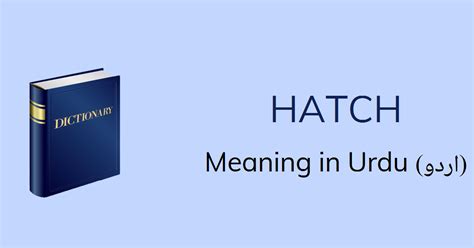 Hatch Meaning In Urdu With 2 Definitions And Sentences