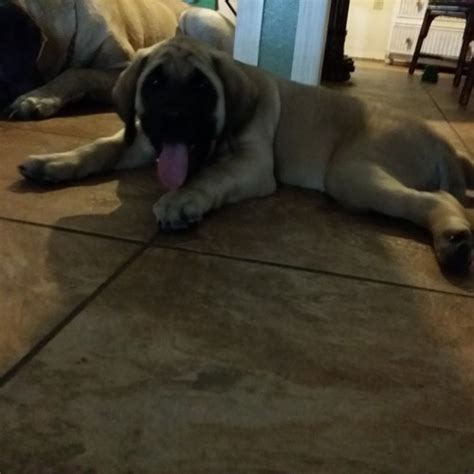 Stream Bobby Laughlin Music Listen To Songs Albums Playlists For Free On Soundcloud