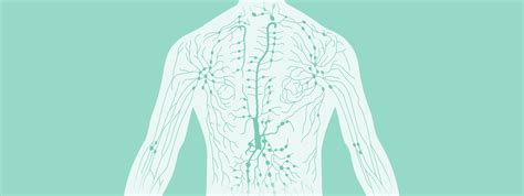 Lymphome Hodgkinien Msd Santé Suisse