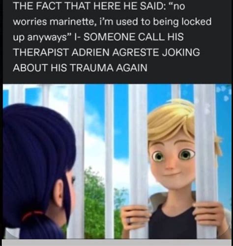 Pin By 🥀 On Miraculous Ladybug In 2025 Miraculous Ladybug Memes